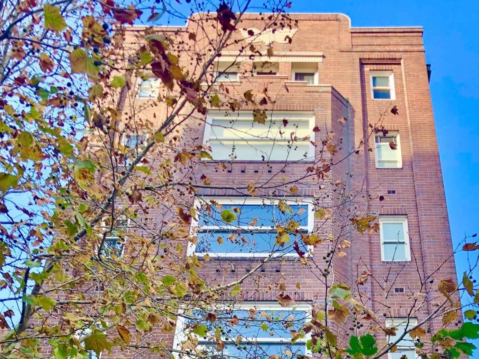 Apartment For Sale - 26/20-22 Springfield Avenue Potts Point